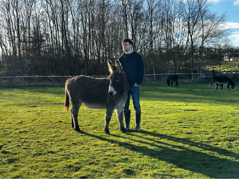 Donkeys: Life-saving for Leeds Man | Leeds Living