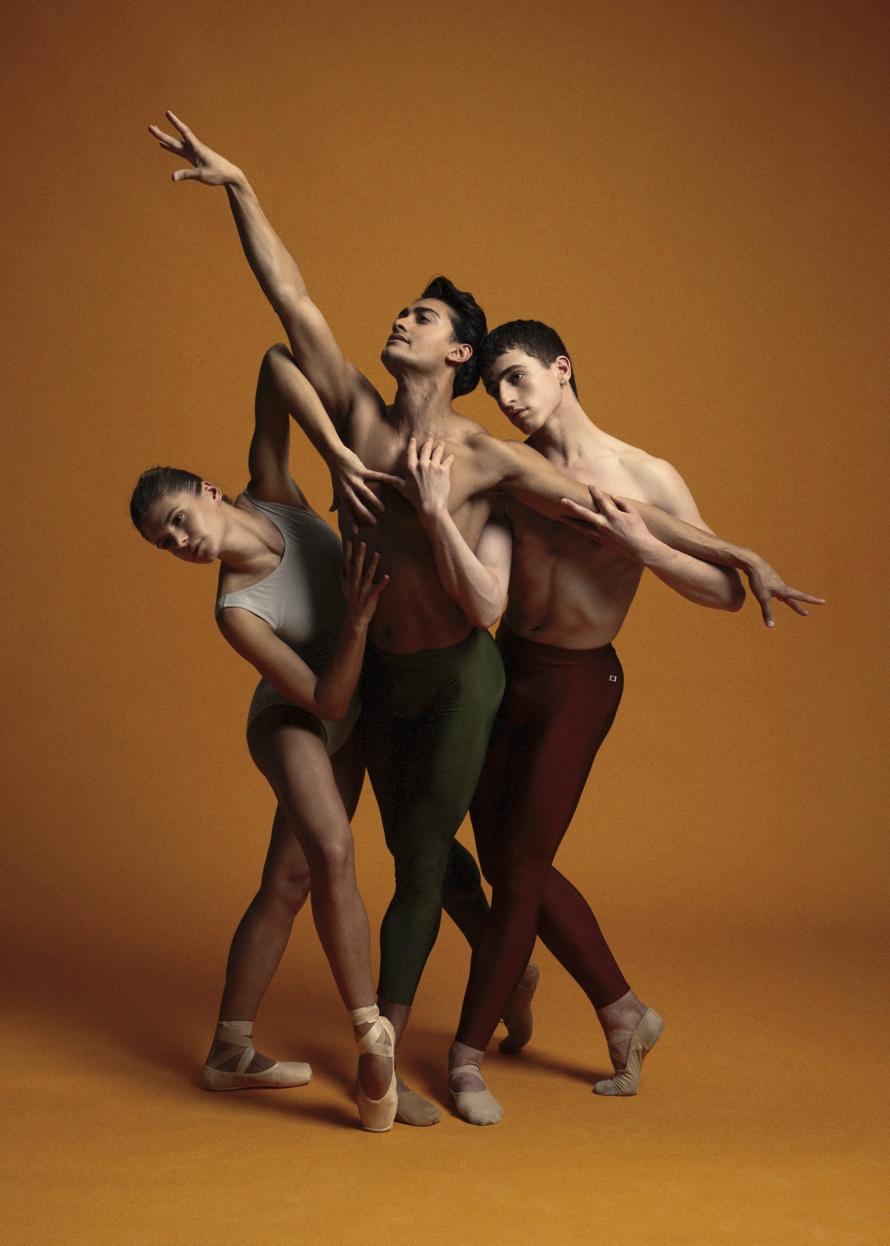 McNicol Ballet Collective Here & Now Tour: at Stanley & Audrey Burton ...
